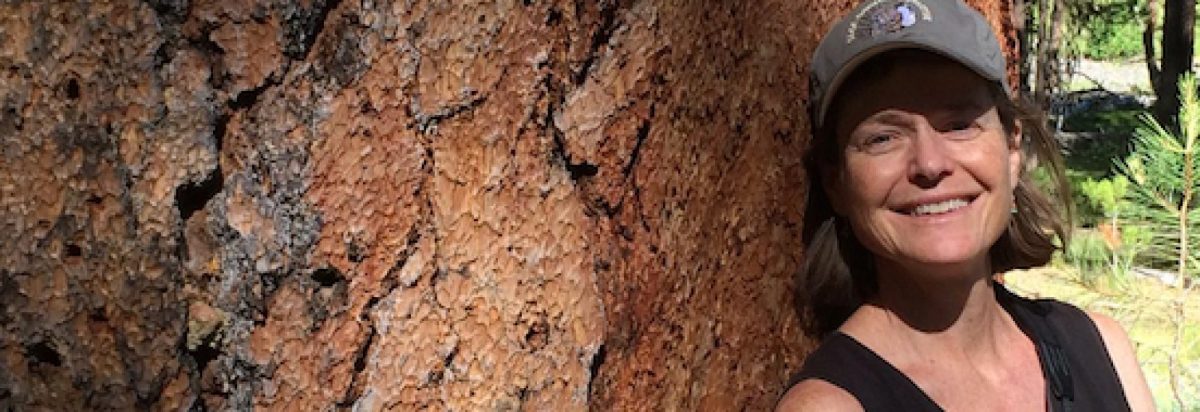 Alexandra Murphy Communications – Interpretive writing and planning